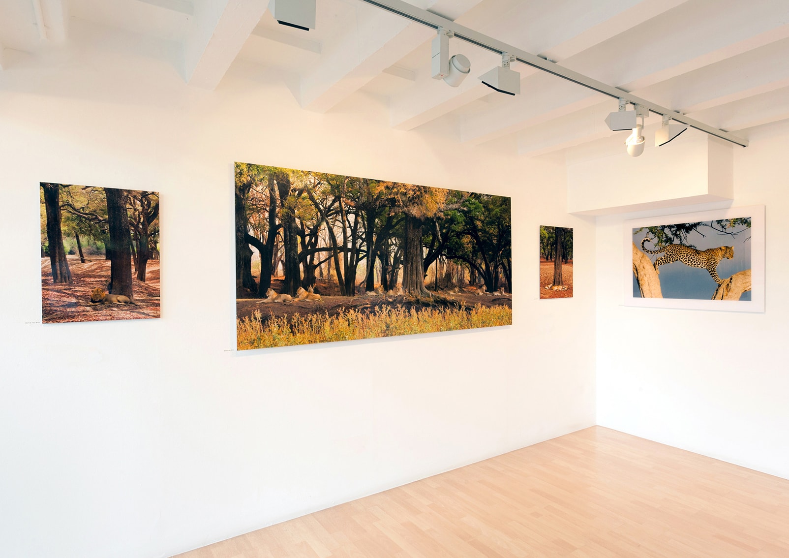 Our Clients - Roger Hooper