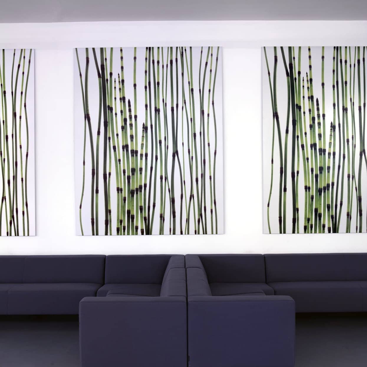 Fleur Olby - Genesis Imaging