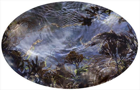 Susan Derges: 'Under the Moon' at Purdy Hicks Gallery - Genesis Imaging