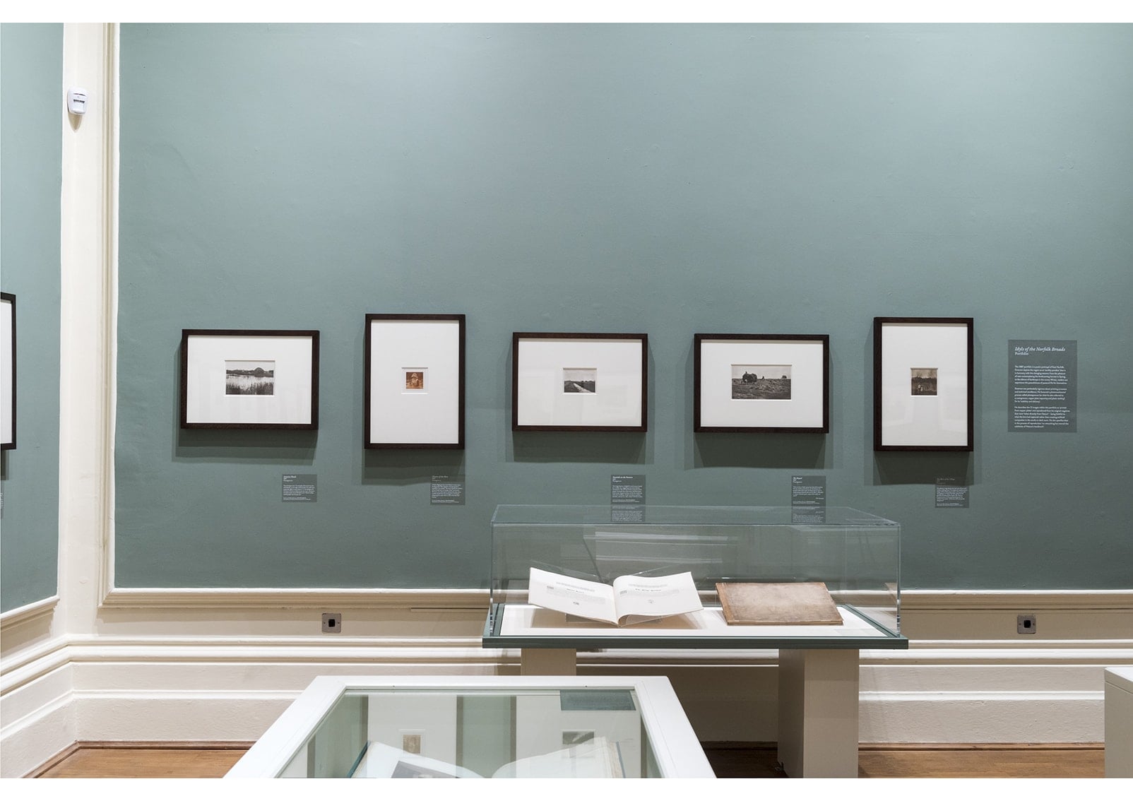 Genesis Imaging: November 2015 News - Genesis Imaging