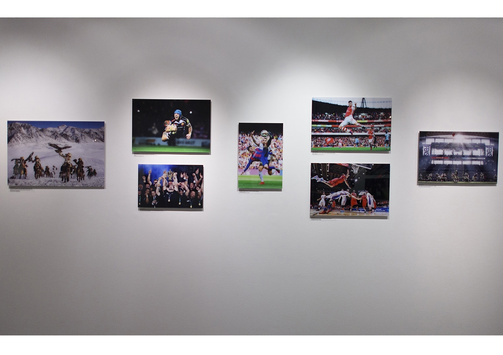 Genesis Imaging: February 2016 News - Genesis Imaging