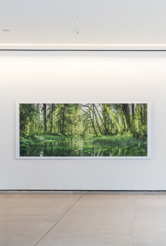 David Anthony Hall: 'Fragile' at Sixty Threadneedle Street - Genesis ...