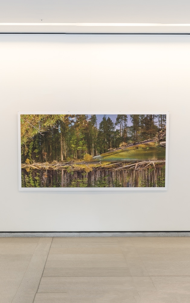 David Anthony Hall: 'Fragile' at Sixty Threadneedle Street - Genesis ...