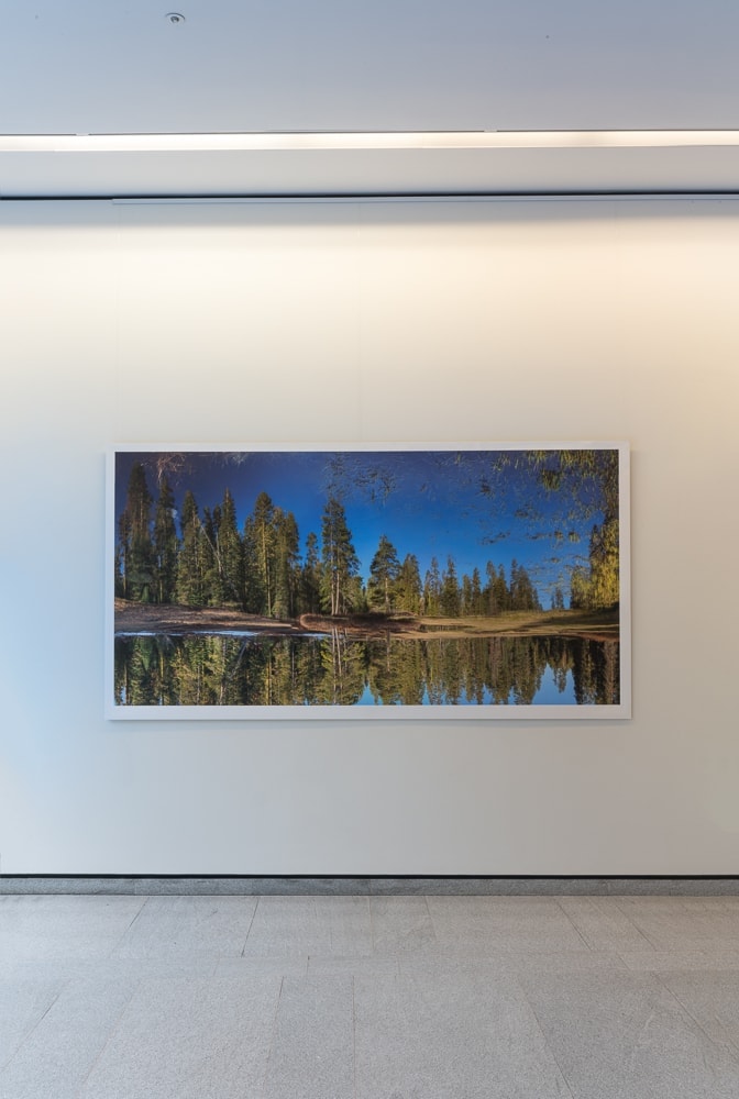 David Anthony Hall: 'Fragile' at Sixty Threadneedle Street - Genesis ...