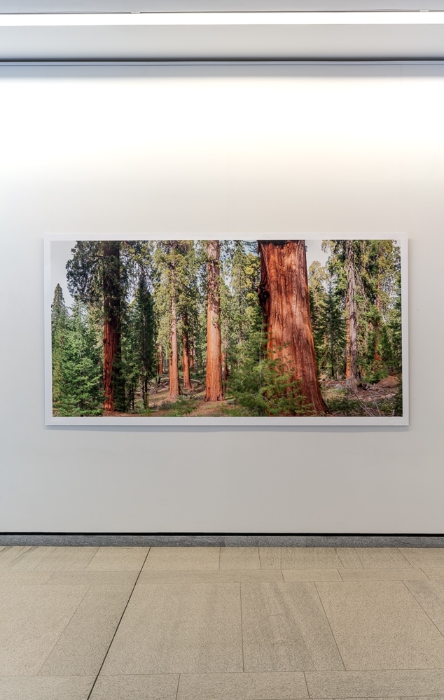David Anthony Hall: 'Fragile' at Sixty Threadneedle Street - Genesis ...