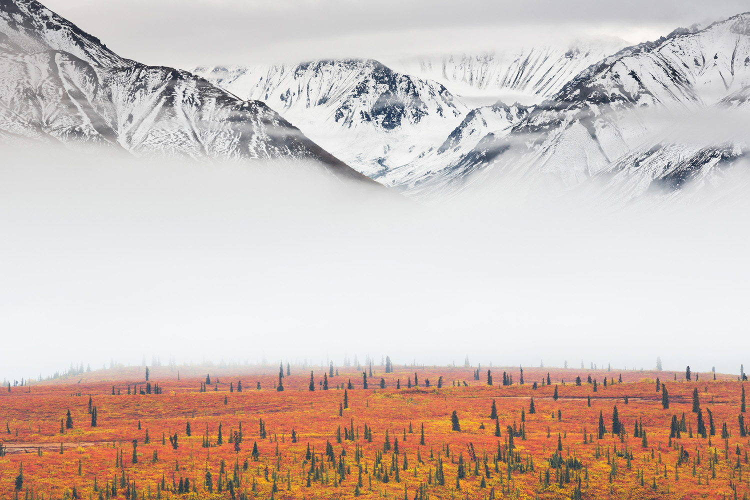 Travel Photographer of the Year Awards 2022: Open for Entries until ...