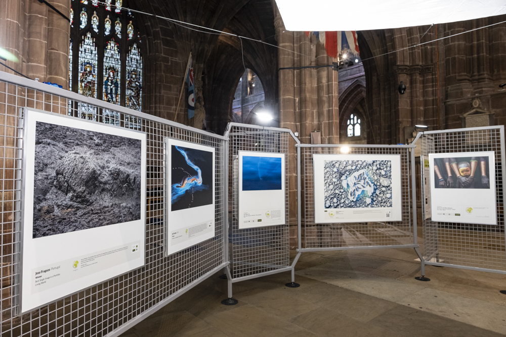 Our Photography and Art Highlights from 2022... - Genesis Imaging