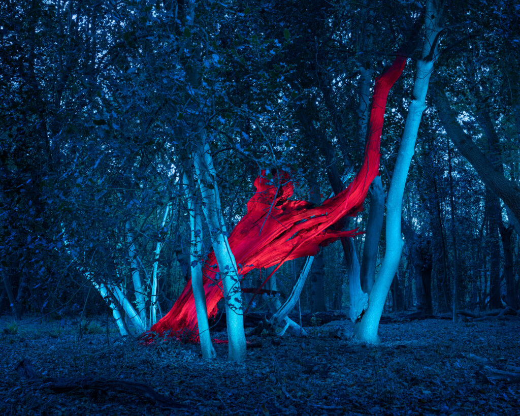 Grete Hjorth-Johansen - Genesis Imaging